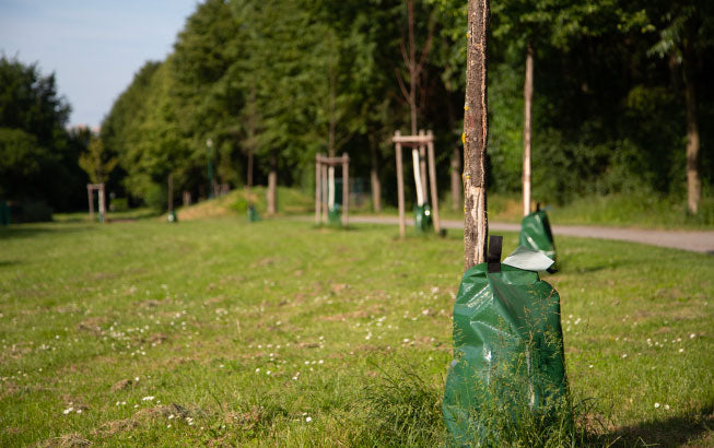 Poly Bag for Planting: How We Can Help | Consolidated Plastics ...